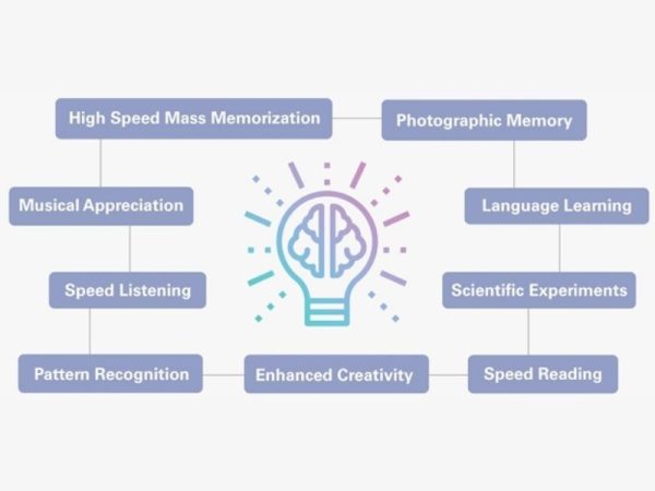 Importance Of Right Brain Education - EducationWorld