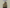 Statue of Maharishi Sushruta unveiled at Royal College of Surgeons of ...